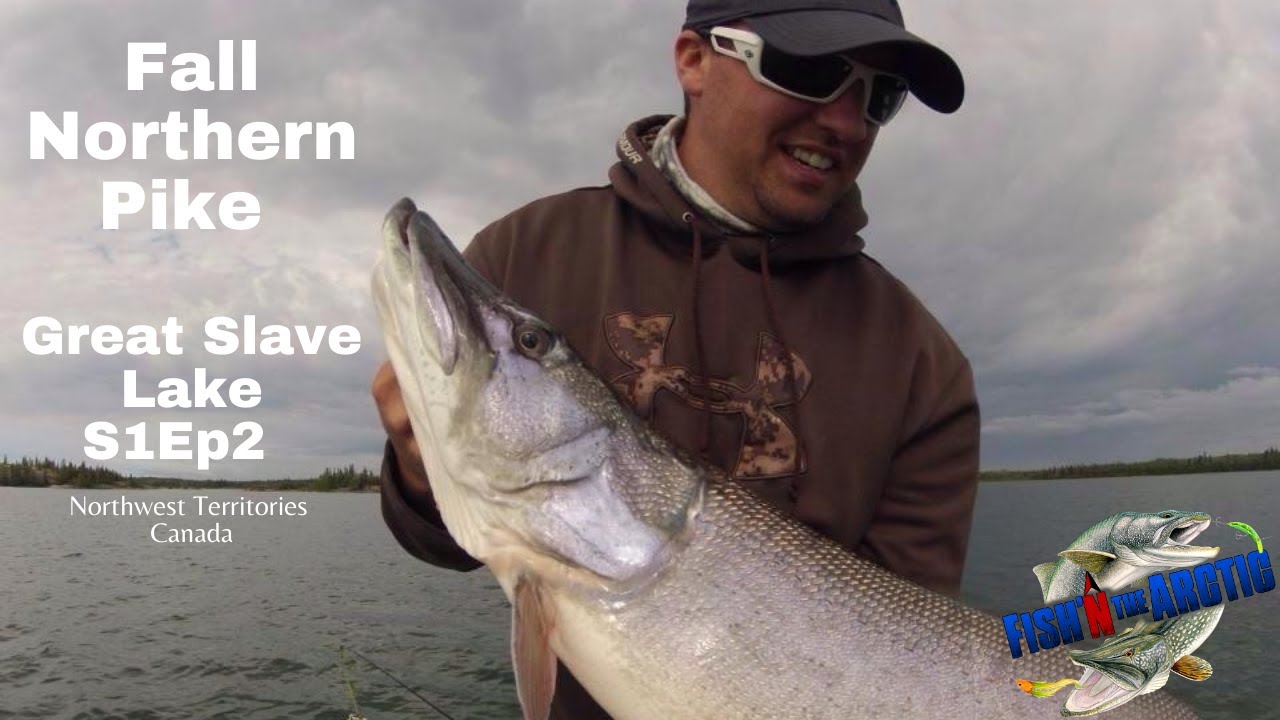 Fall Northern Pike Fishing on Great Slave Lake, Northwest Territories ...