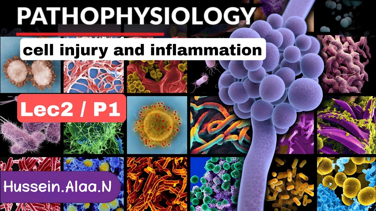 pathophysiology | L2/P1 - YouTube