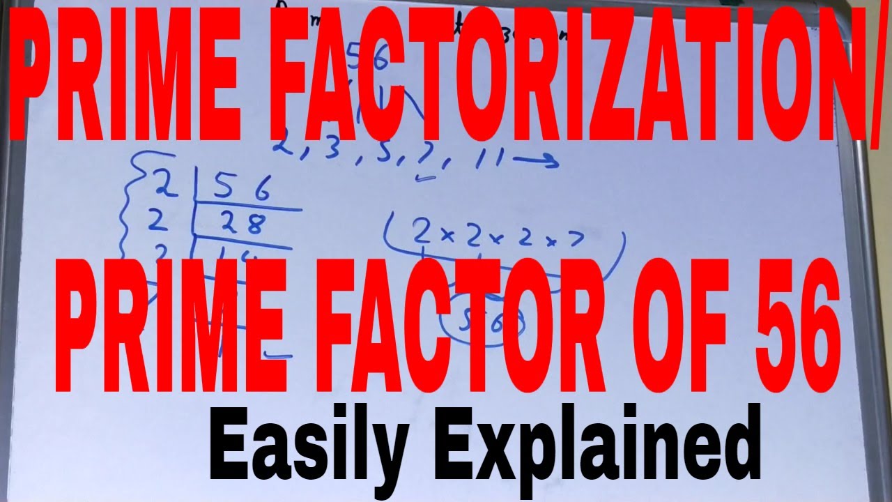 Prime Factorization Of 56 Prime Factors Of 56 Write The Prime prime-factorization-of-56-prime-factors-of-56-write-the-prime