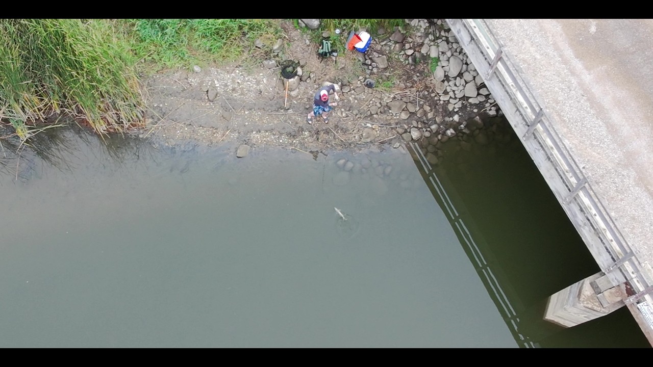 RAW AND UNCUT Walleye Fishing with an Awkward Interaction - YouTube