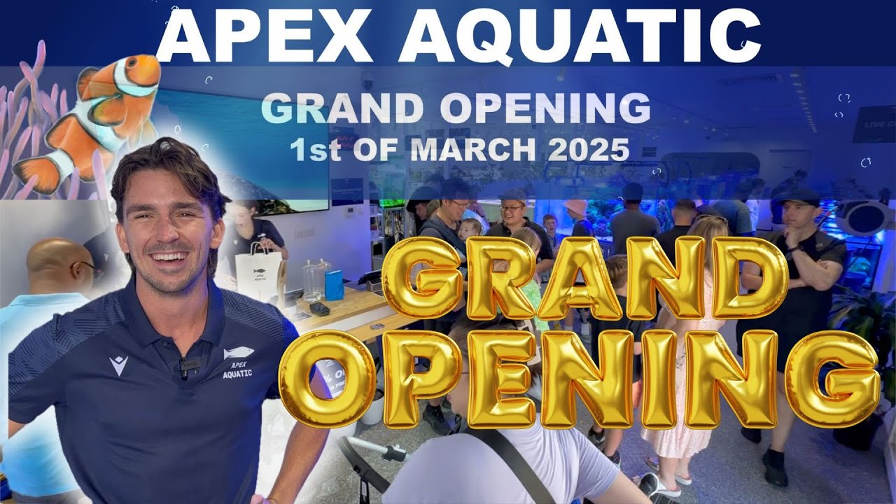 Apex Aquatic - Grand Opening Celebration - YouTube