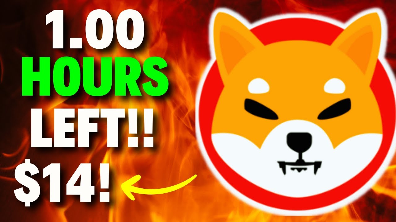 REVEALED! Shiba Inu will EXPLODE to 14! - EXPLAINED - SHIBA INU COIN ...