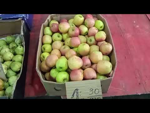 25 yanvar 2026 8km Vasmoy bazarinda qiymetler 😊