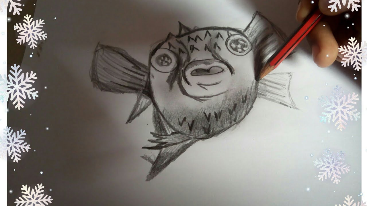 How to Draw a ( Puffer fish) - YouTube