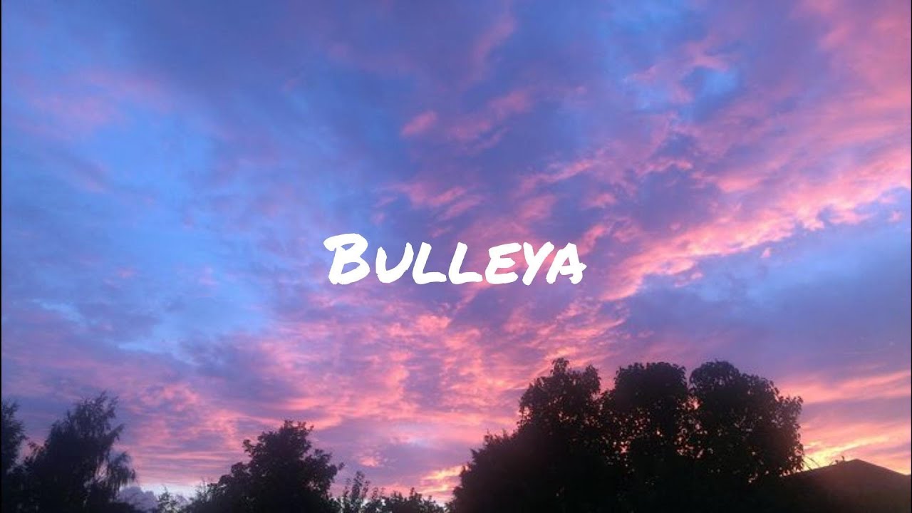 Bulleya (Lyrics) || Sultan || Salman Anushka Vishal & Shekhar Irshad ...