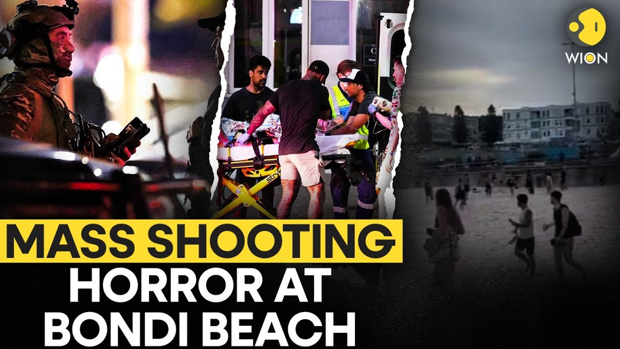 Bondi Beach Shooting LIVE: Scenes Of Fear At Sydney's Bondi Beach, At ...