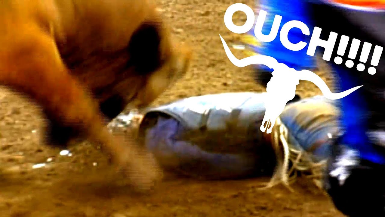 Funny Bull Riding Rodeo Fail LOL - YouTube