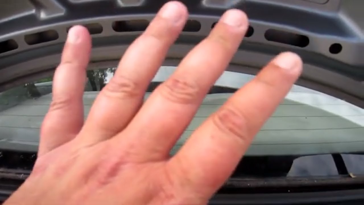 🌲Pickin' Boogers | Collecting Pine Tree Resin - YouTube