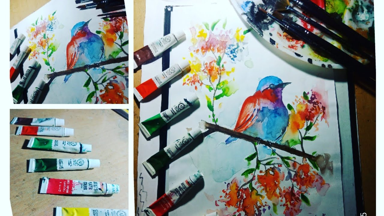 Watercolour tutorial || how to draw bird with watarcolour | Mamita ...