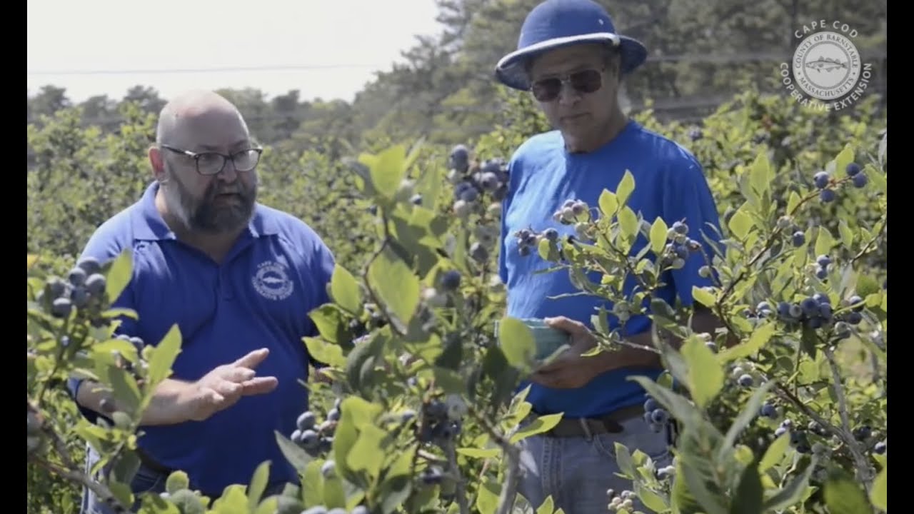 Welcome to the Cape Cod Cooperative Extension Channel - YouTube