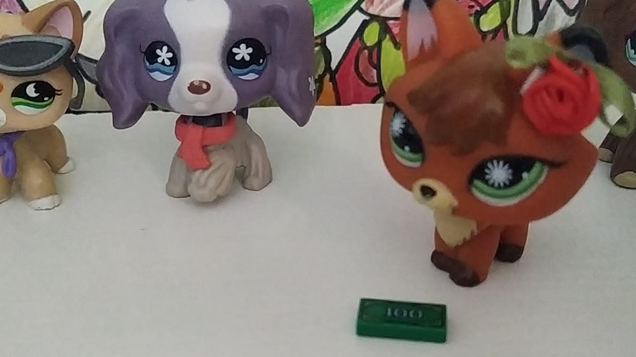 LPS #202 - 🏪Kornelia, Felina i Lena idą do sklepu🏪 - YouTube