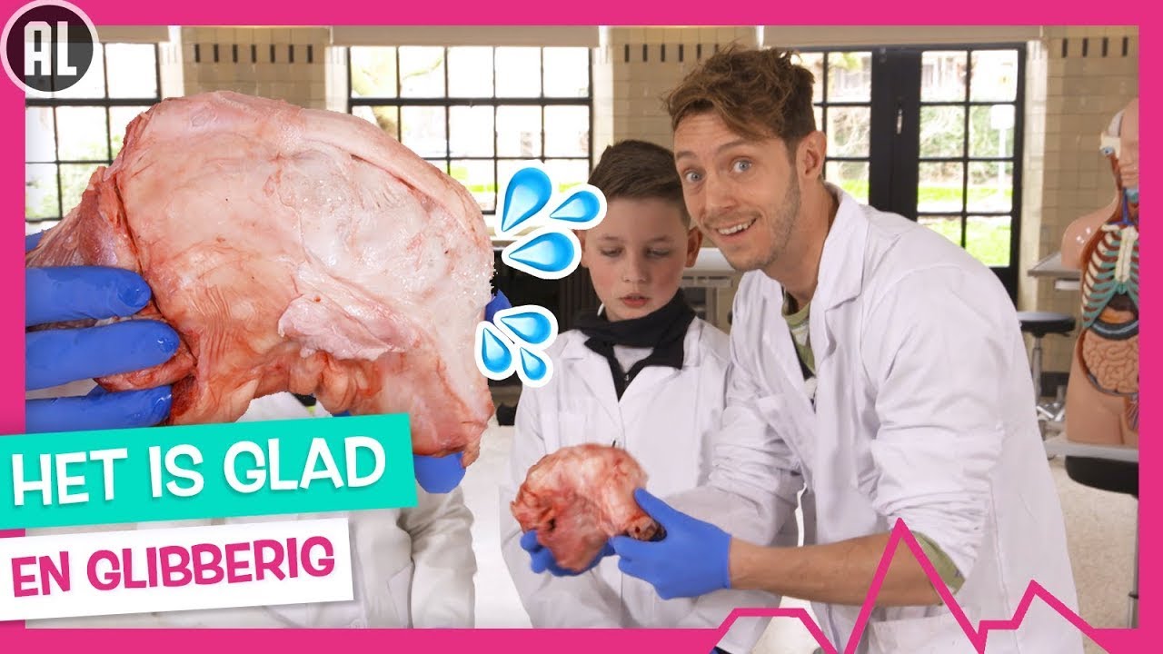 WAAR ZIT DIT IN JE LICHAAM? 🦴💦 - TOPDOKS - ANATOMISCHE LES VAN DOKTER ...