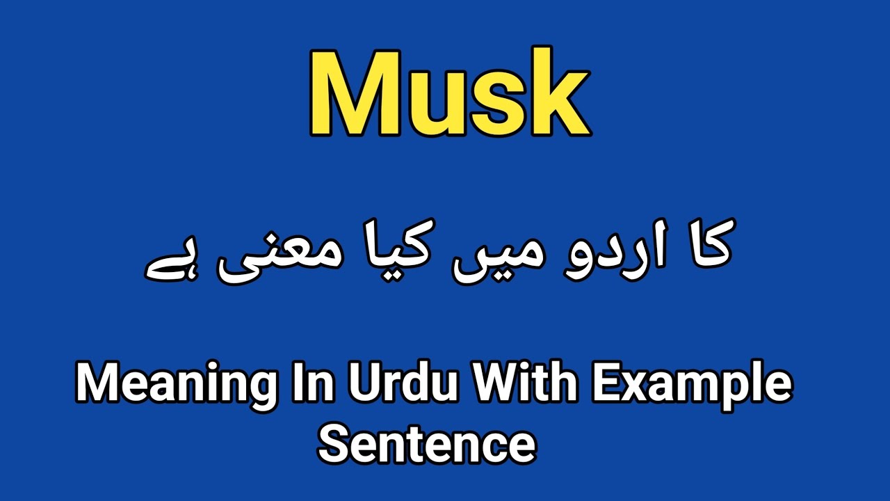 Musk meaning in urdu |english |Musk ka kia mtlb hai - YouTube