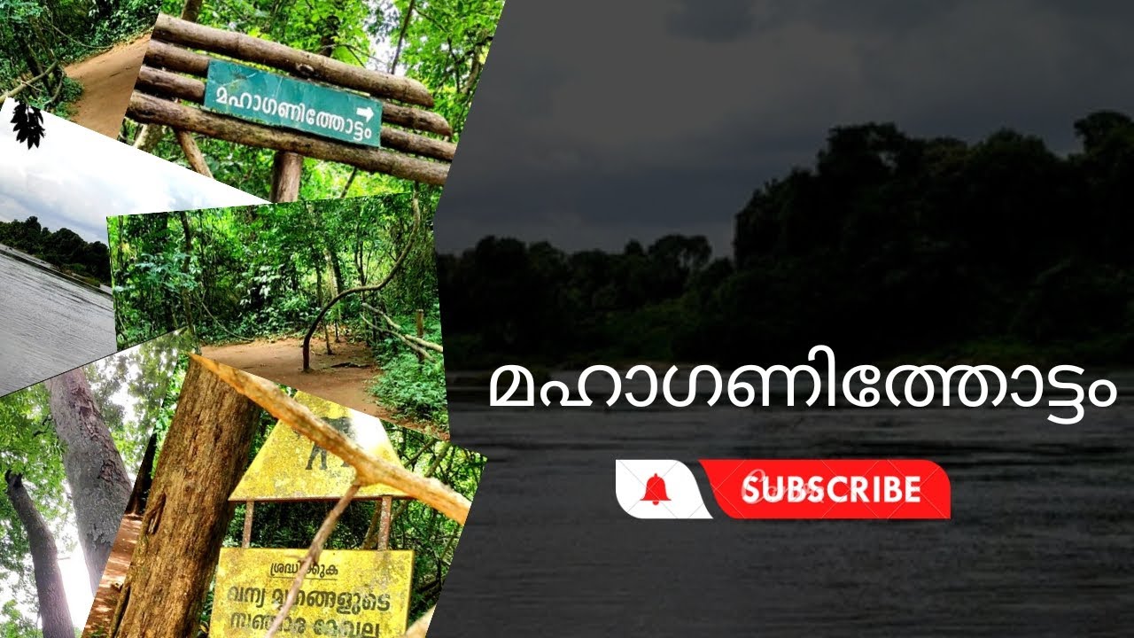 MAHAGENI THOTTAM ECOTOURISM | ILLITHODE|MULAMKUZHY| Ernakulam tourist ...