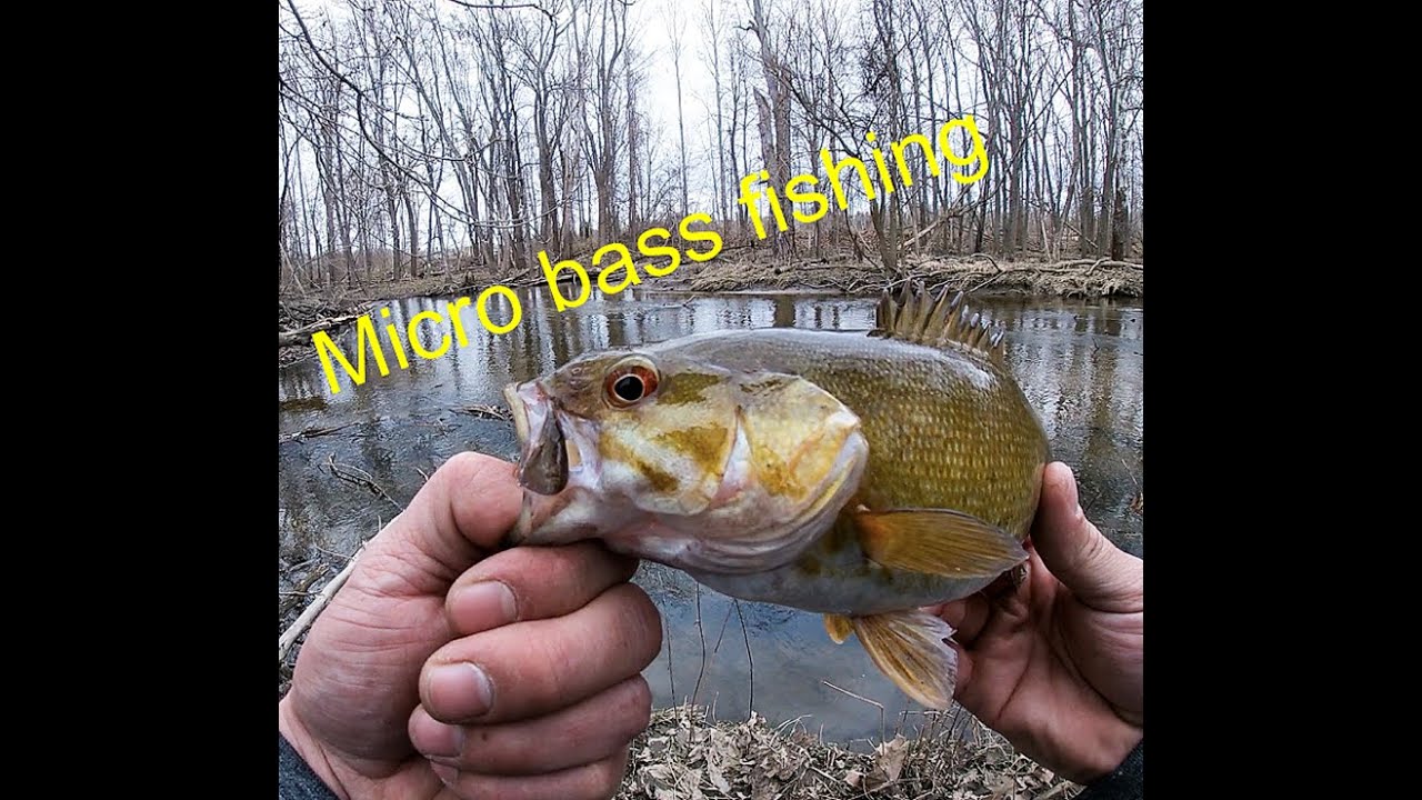 Early spring smallmouth fishing. - YouTube
