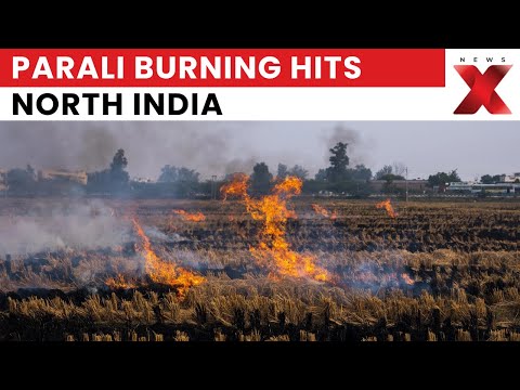 Parali Burning Hits North India | Delhi AQI Hits Severe 400+ Pollution Level