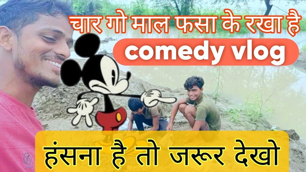 comedy vlog 😆,chat go maal phasa ke rakha hai 🤣 #trandingvlog #newblog ...