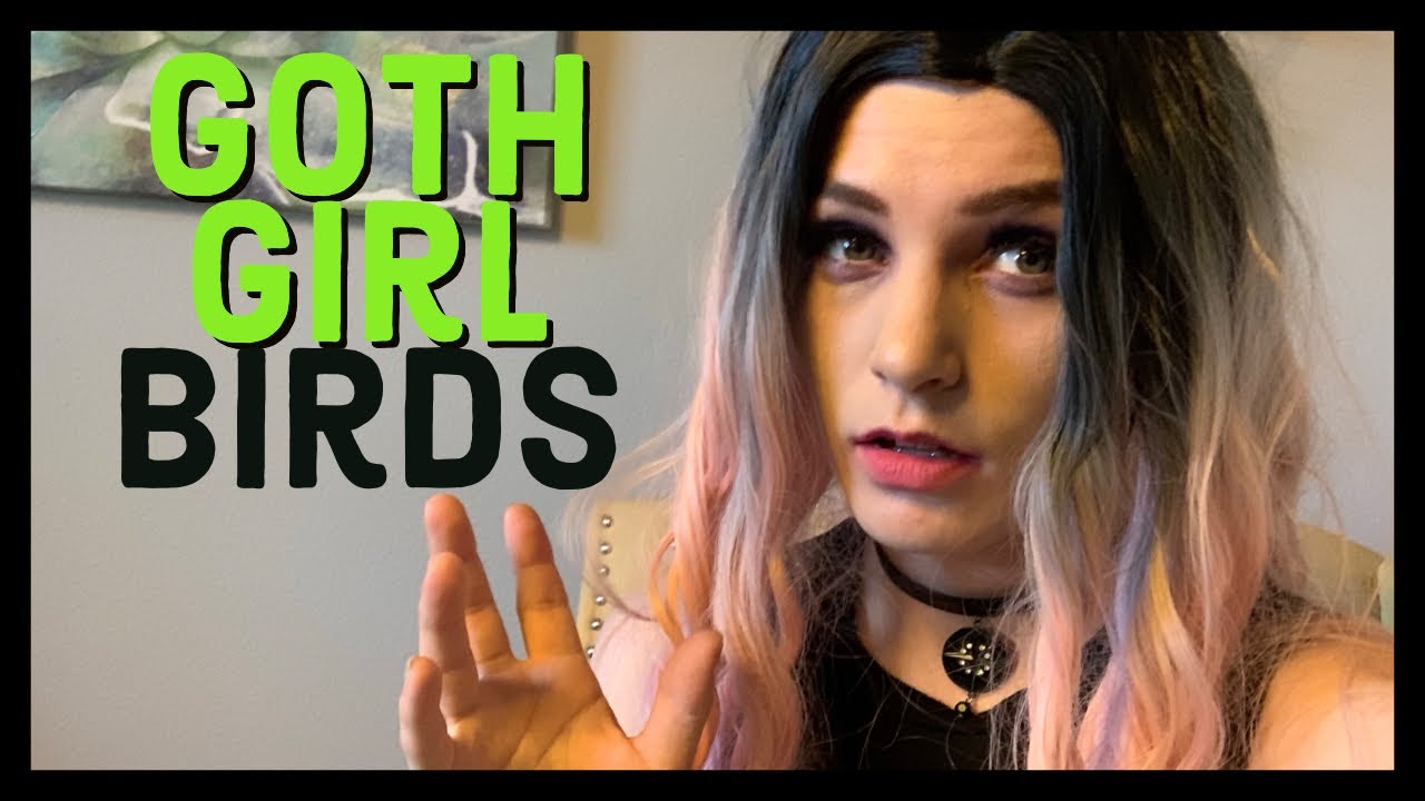Goth Girl Birds - YouTube