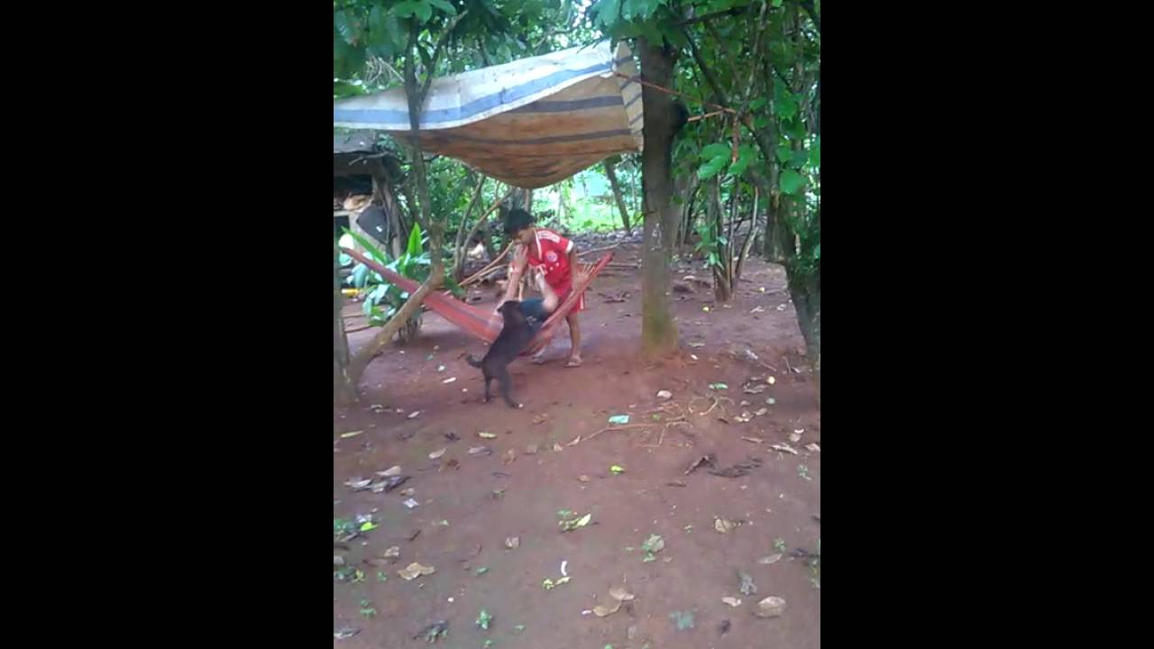 Hai Chi Em Chich Nhau Youtube