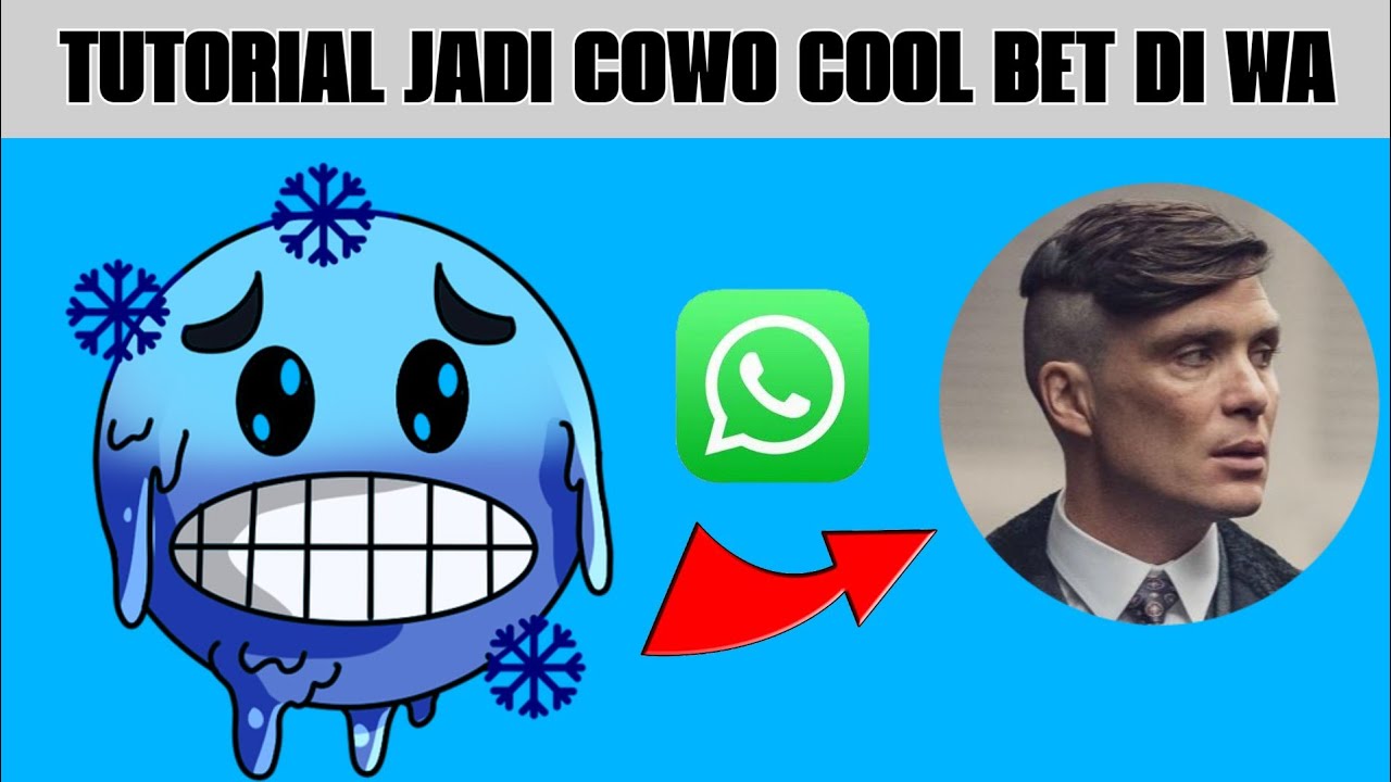 Tutorial Jadi Cowo Cool Bet di WhatsApp - YouTube