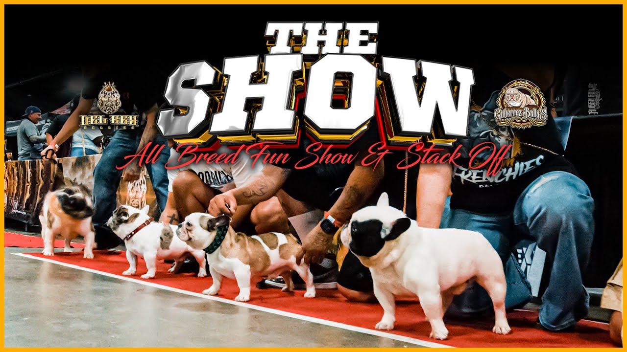Bully Events: "The Show" hosted by Del Rey Bullies & Gutierrez Bullys ...