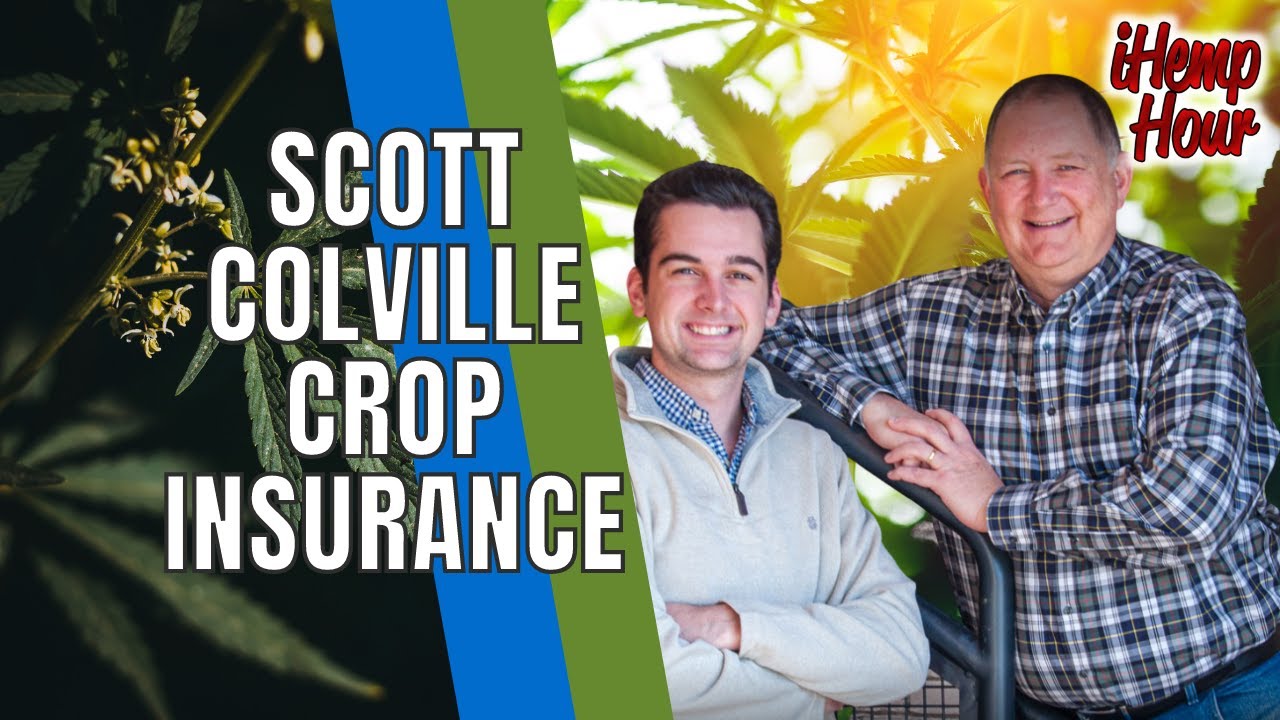 Scott Colville Crop Insurance | iHemp ft. Scott Colville and Eric ...
