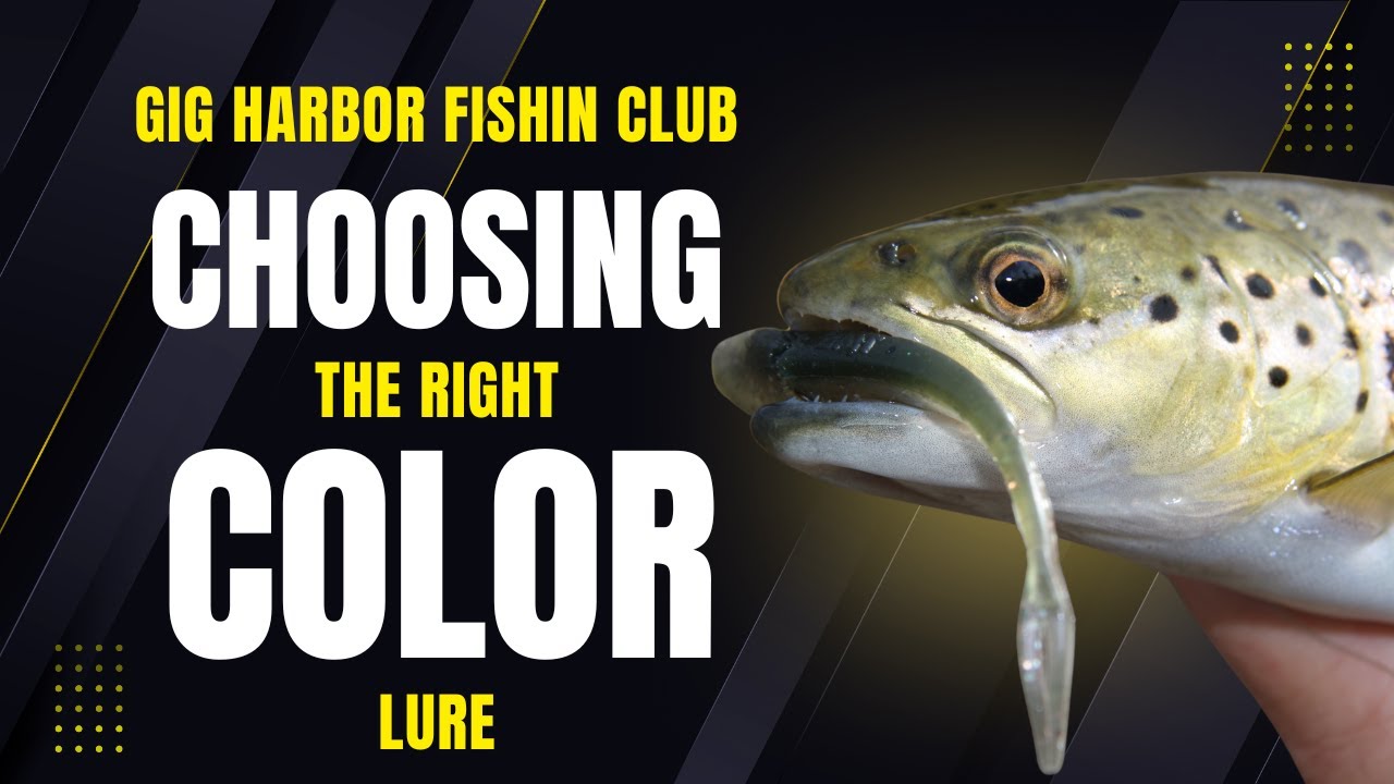 How to Choose the Right Color Lure - YouTube