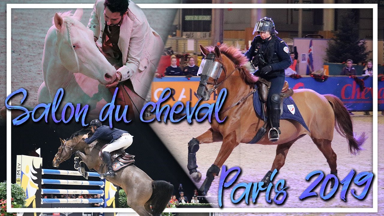 Salon du cheval de Paris 2019 - Il saute 2 mètres ! - YouTube