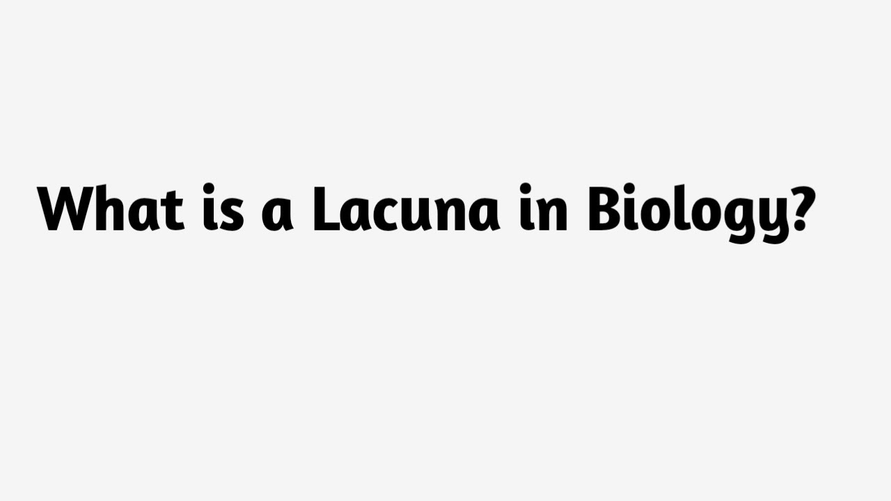 What is a Lacuna in Biology ? - YouTube
