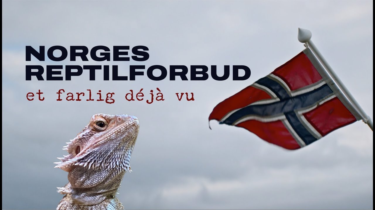 Norsk reptilforbud – et farlig déjà vu - YouTube