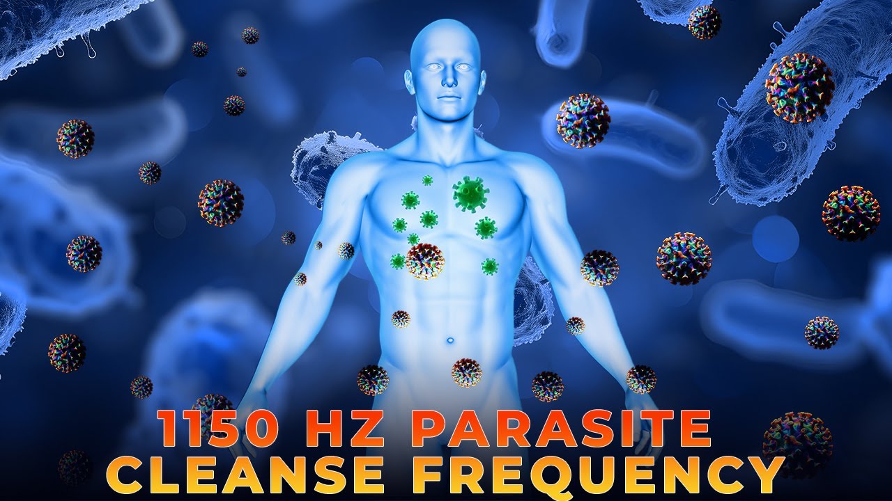 1150Hz Rife Frequency Cleanse Parasite in 5 Minutes | Instant Parasite ...