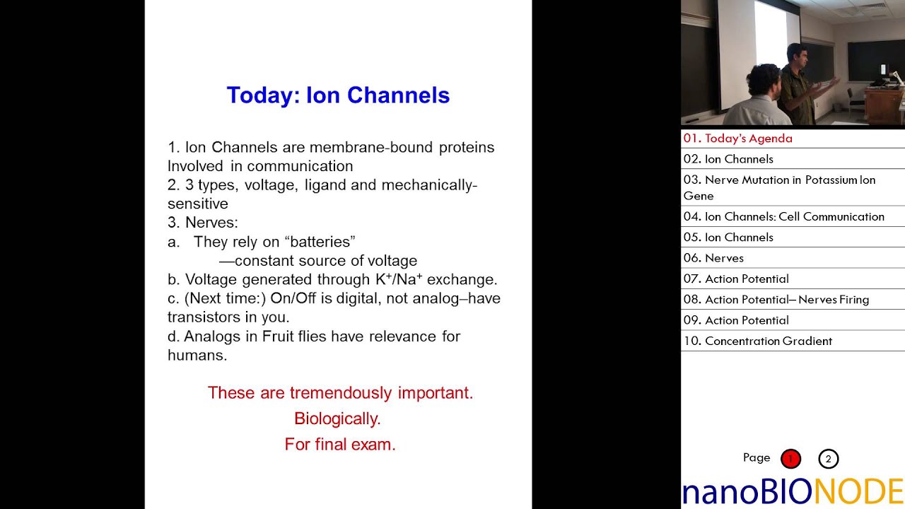 Biophysics 401 Lecture 22: Ion Channels - YouTube