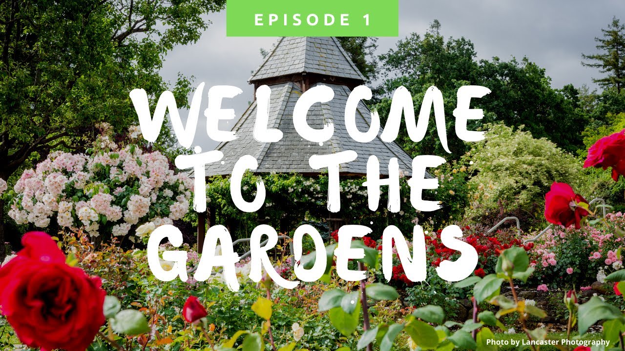 Welcome to The Gardens at Heather Farm in Walnut Creek, CA! - YouTube