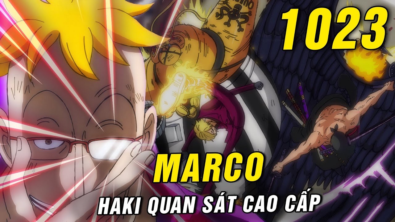 Marco có Haki Quan Sát Cao Cấp , Người bảo hộ Băng Mũ Rơm xuất sắc nhất ...