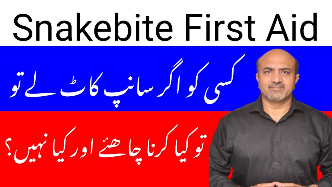 First Aid After Snakebite | What We Should Do After Snakebite | What To Avoid After Snakebite ...