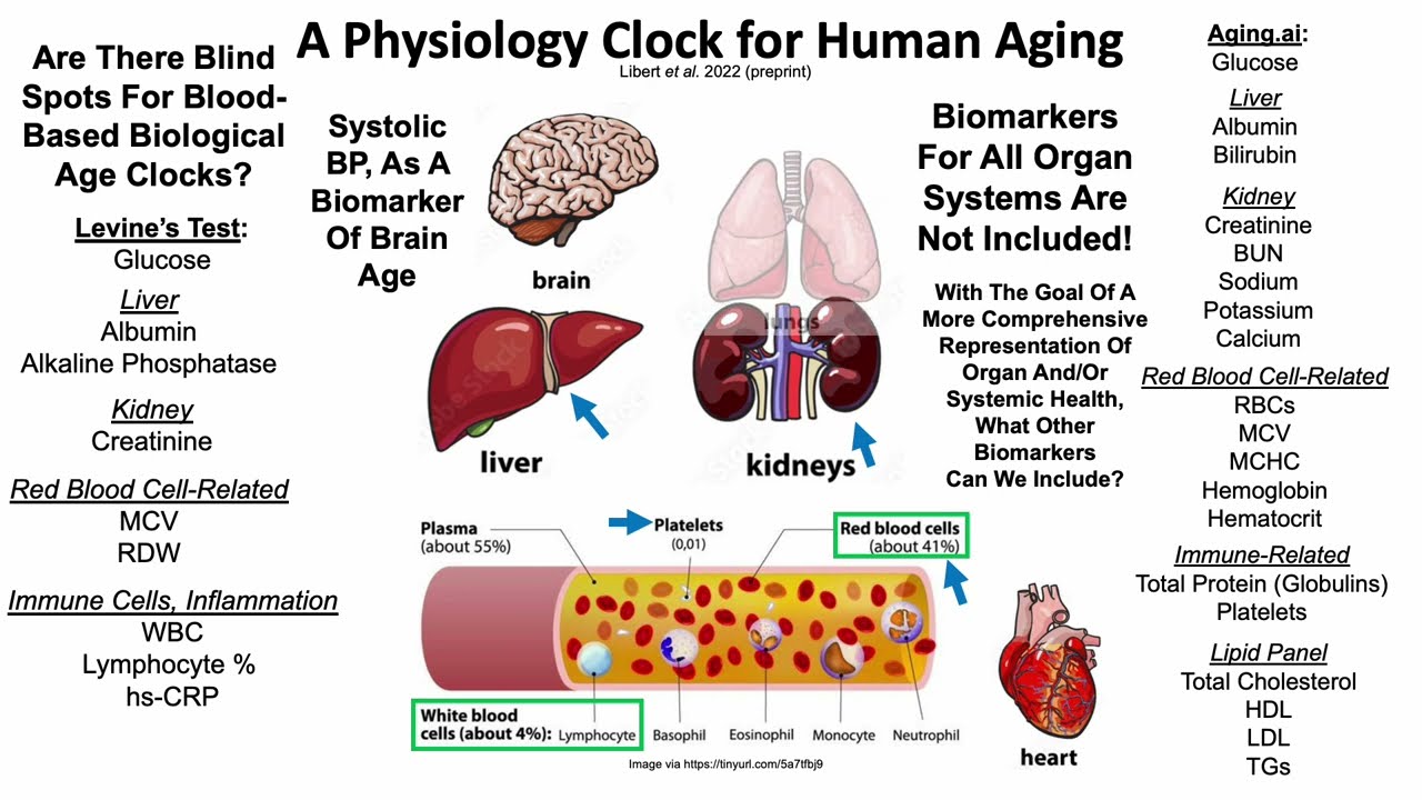 A Physiology Clock for Human Aging: BP and FEV1 As Top Predictors - YouTube