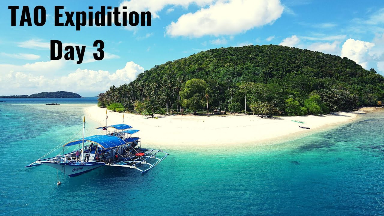 TAO Expedition DAY 3, COBRA island and heading to our final stay TAO ...