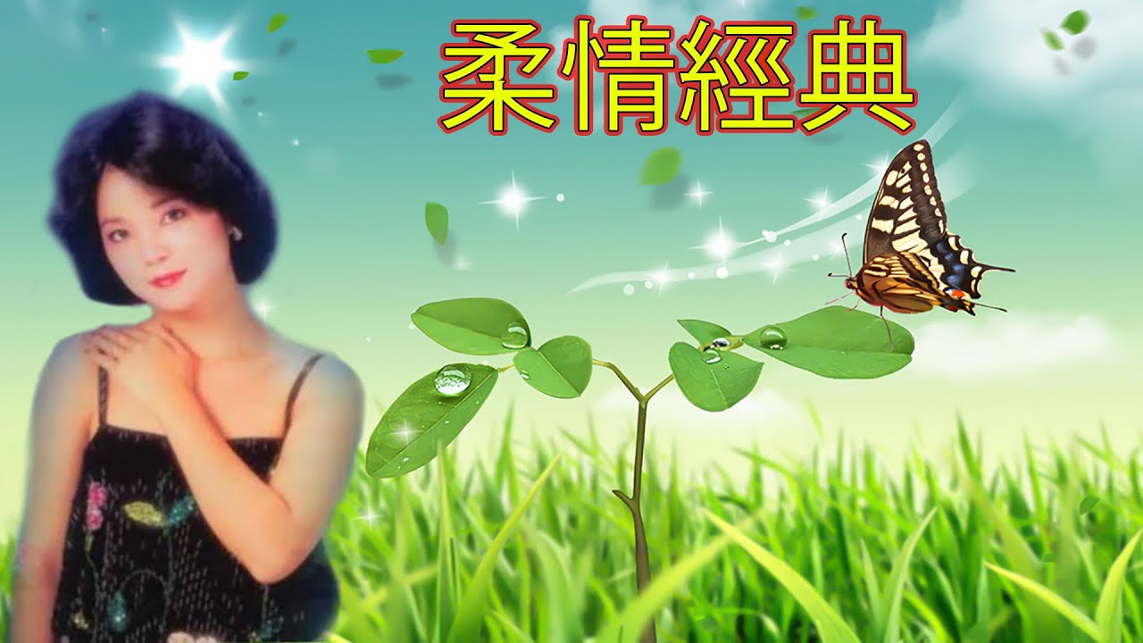 【柔情經典】世界上最美的旋律 你可以永远听这首音乐 美妙无比的秋天旋律 美妙的灵魂音乐 古老的音乐塑造美丽浪漫的灵魂 放松每一个音符【悅耳動聽 輕鬆愉快 值得收藏 】柔情經