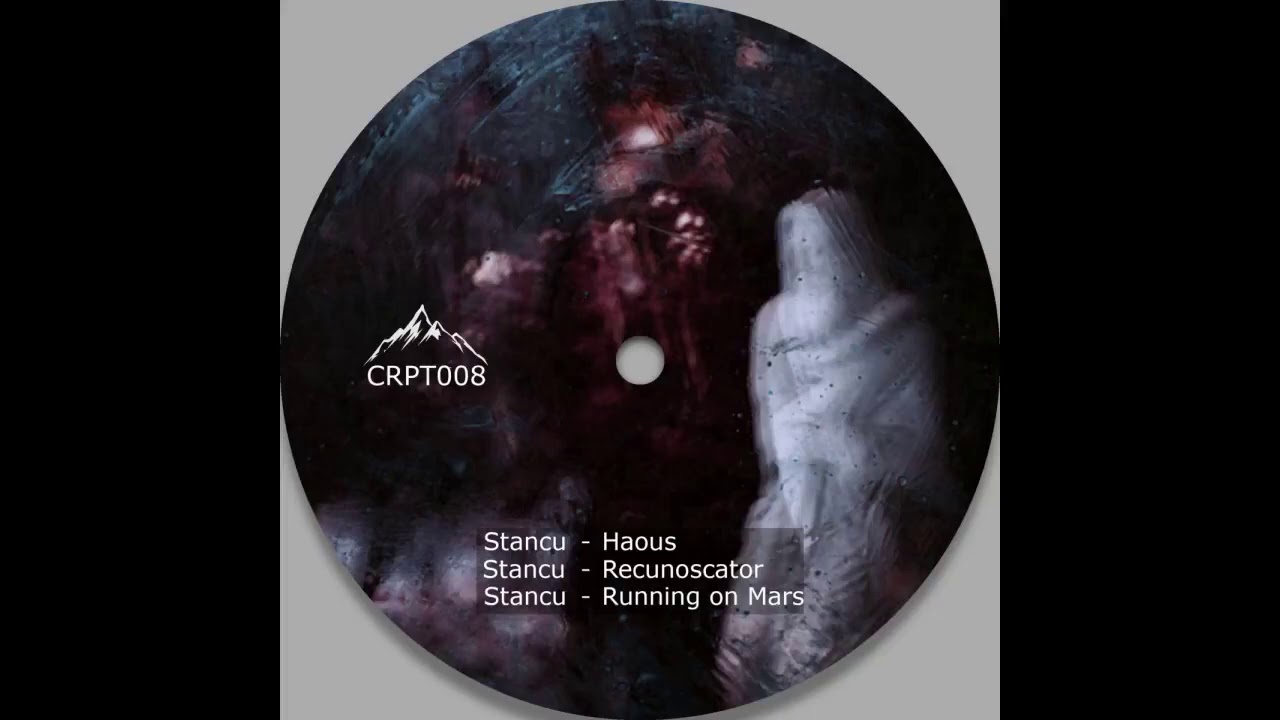 Stancu - Recunoscator - YouTube