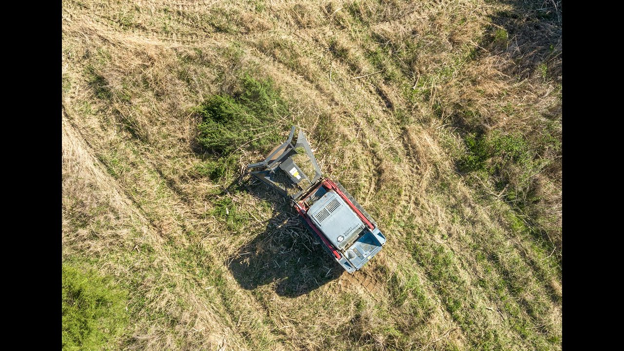 TREE EATER - YouTube