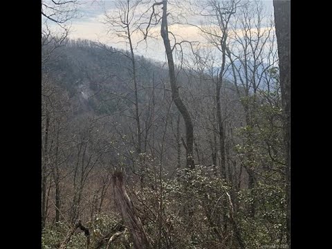 00000 Kate Mountain Road, Black Mountain, NC 28711 - Anne Linhart - MLS ...