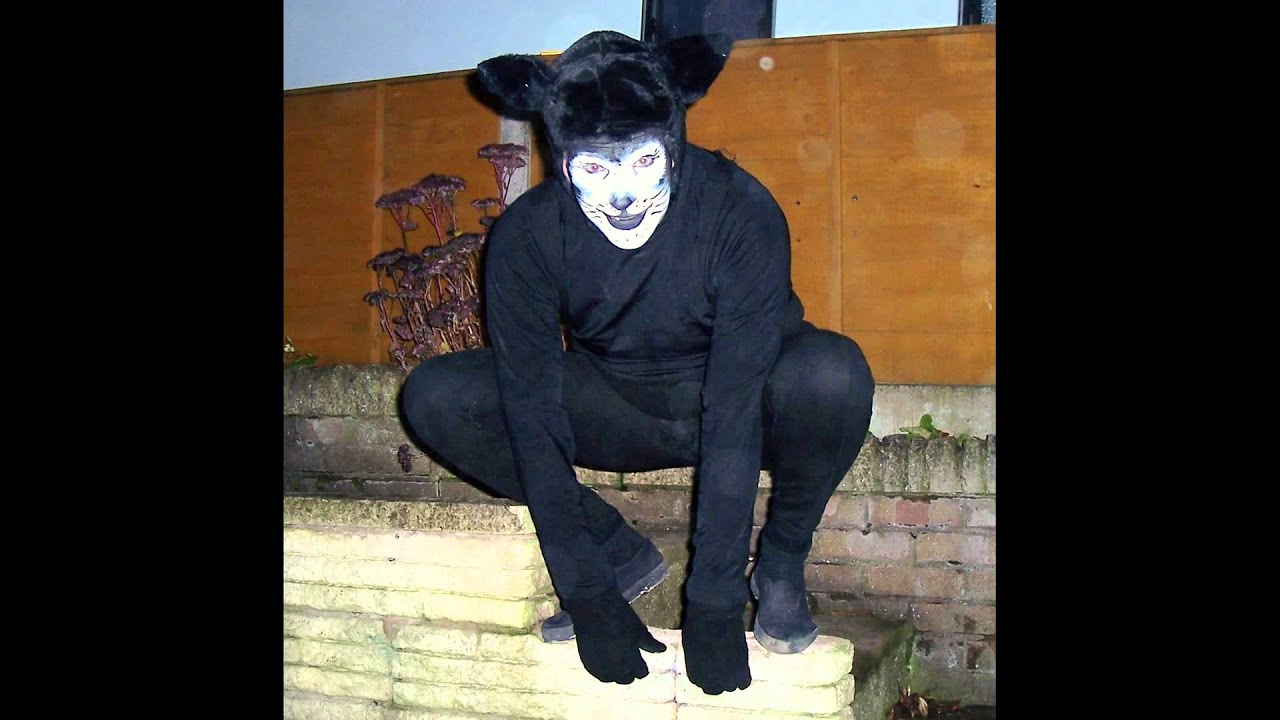 Pantomime cat - YouTube