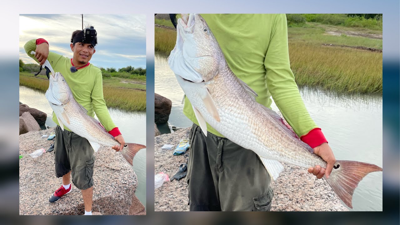Mejor Pesca En Alta Mar Galveston