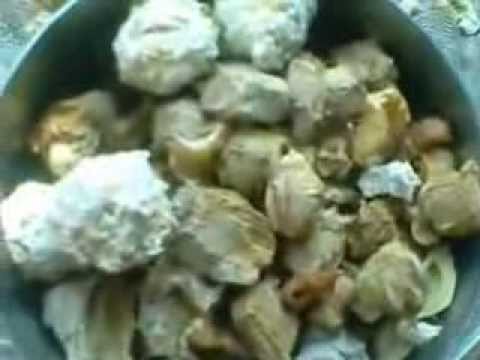 Dried Gooseberry --How to make DRY GOOSEBERRY - YouTube