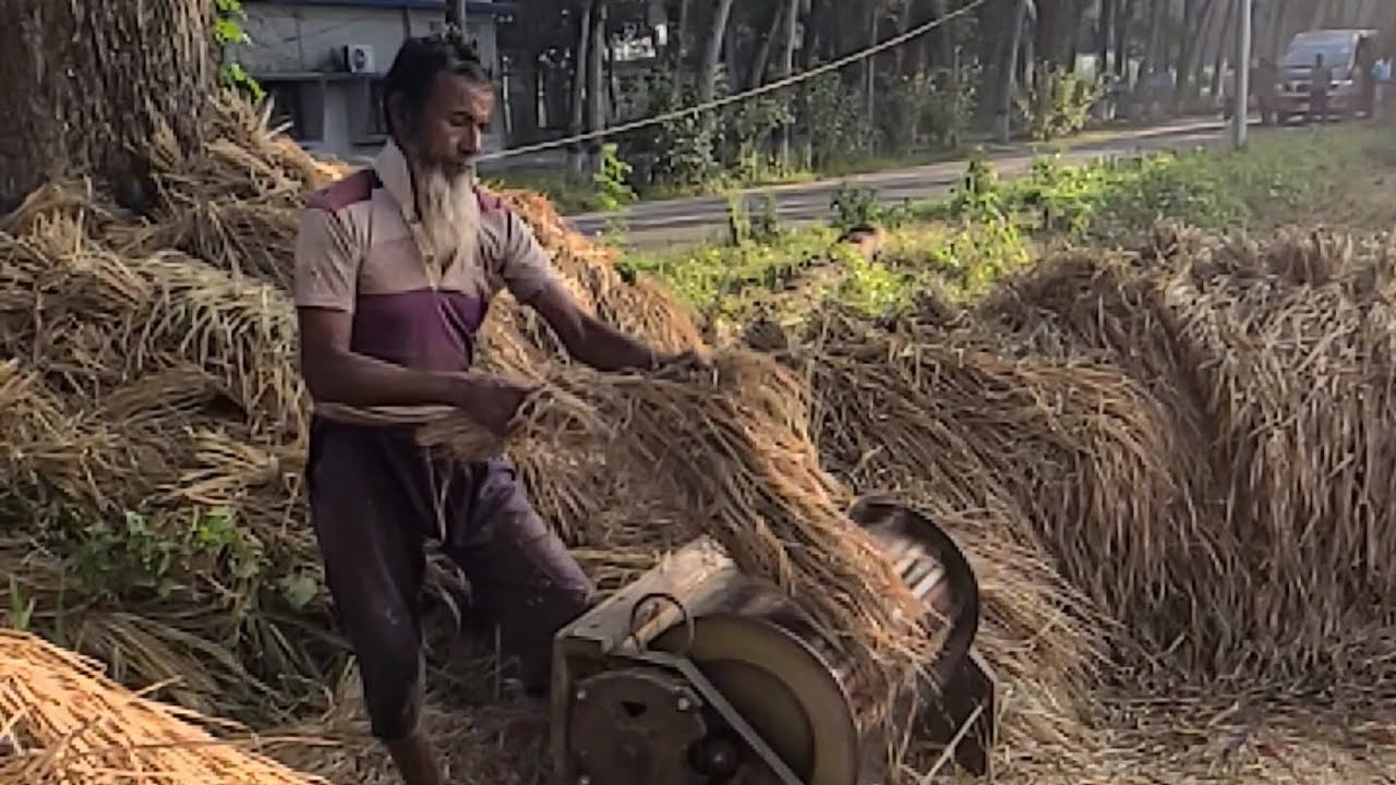Amazing slow motion Super slow motion of paddy husking by paddle ...