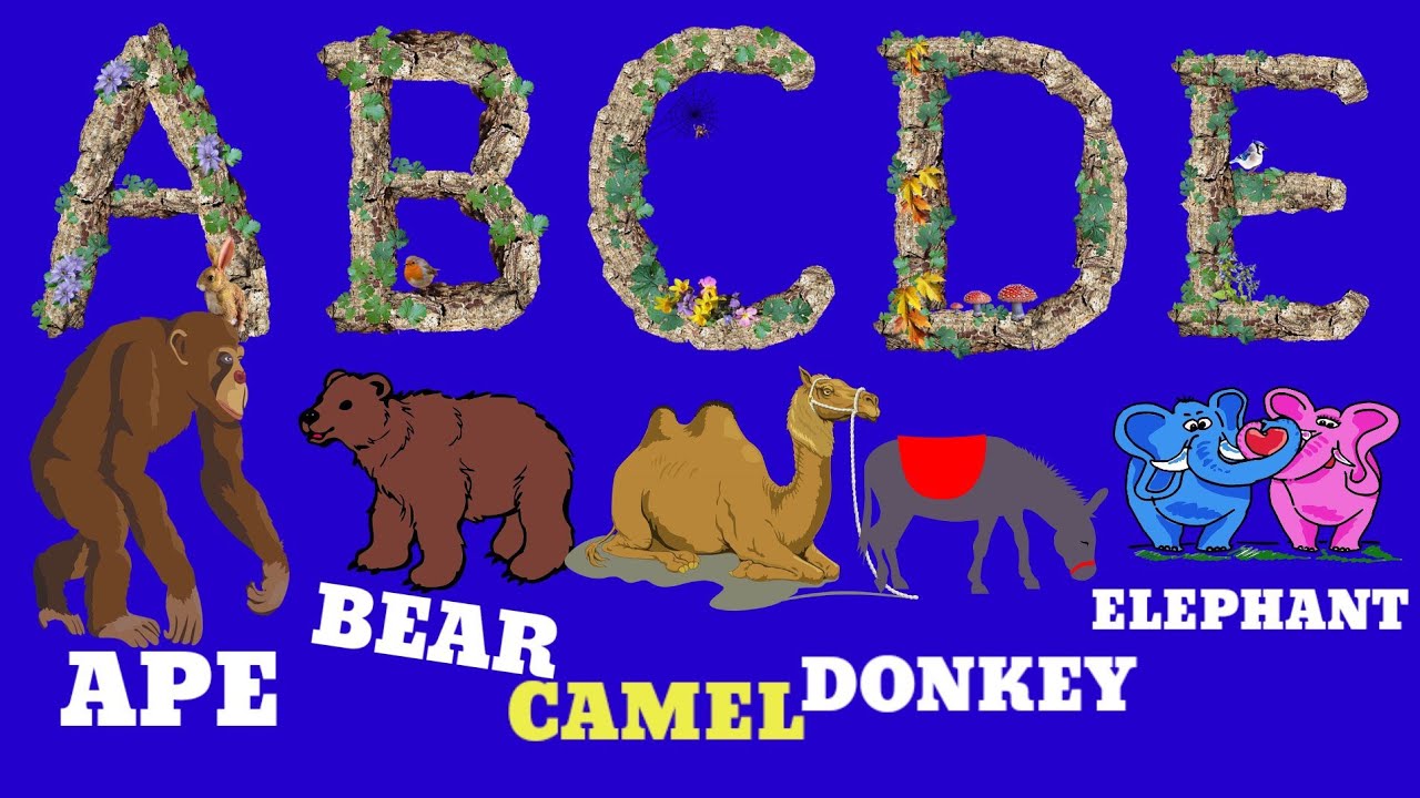 abcd। abcd for। english alphabet। animals alphabet । alphabet with ...