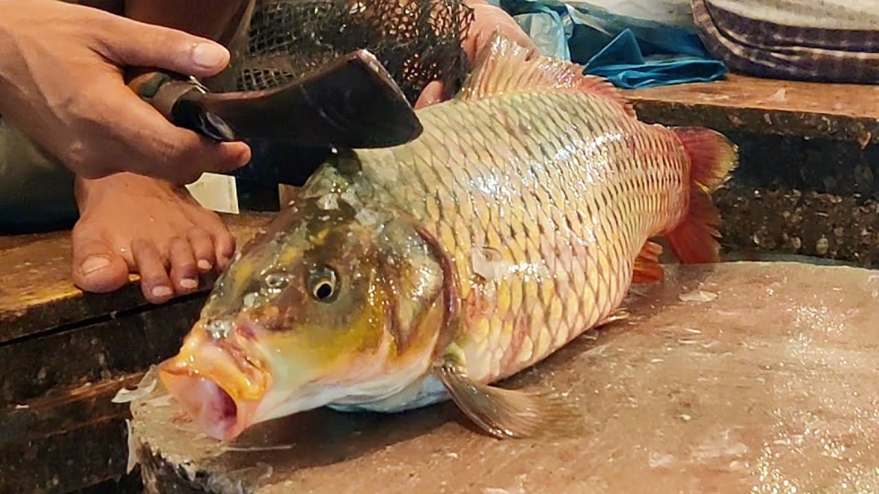 Awesome Carfu Fish Cutting Live In Fish Market | Carp Fish Cutting ...