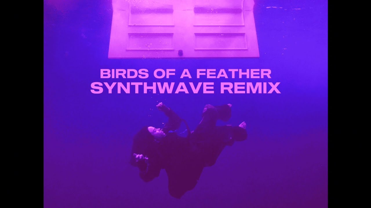 Birds Of A Feather - Synthwave Remix - YouTube