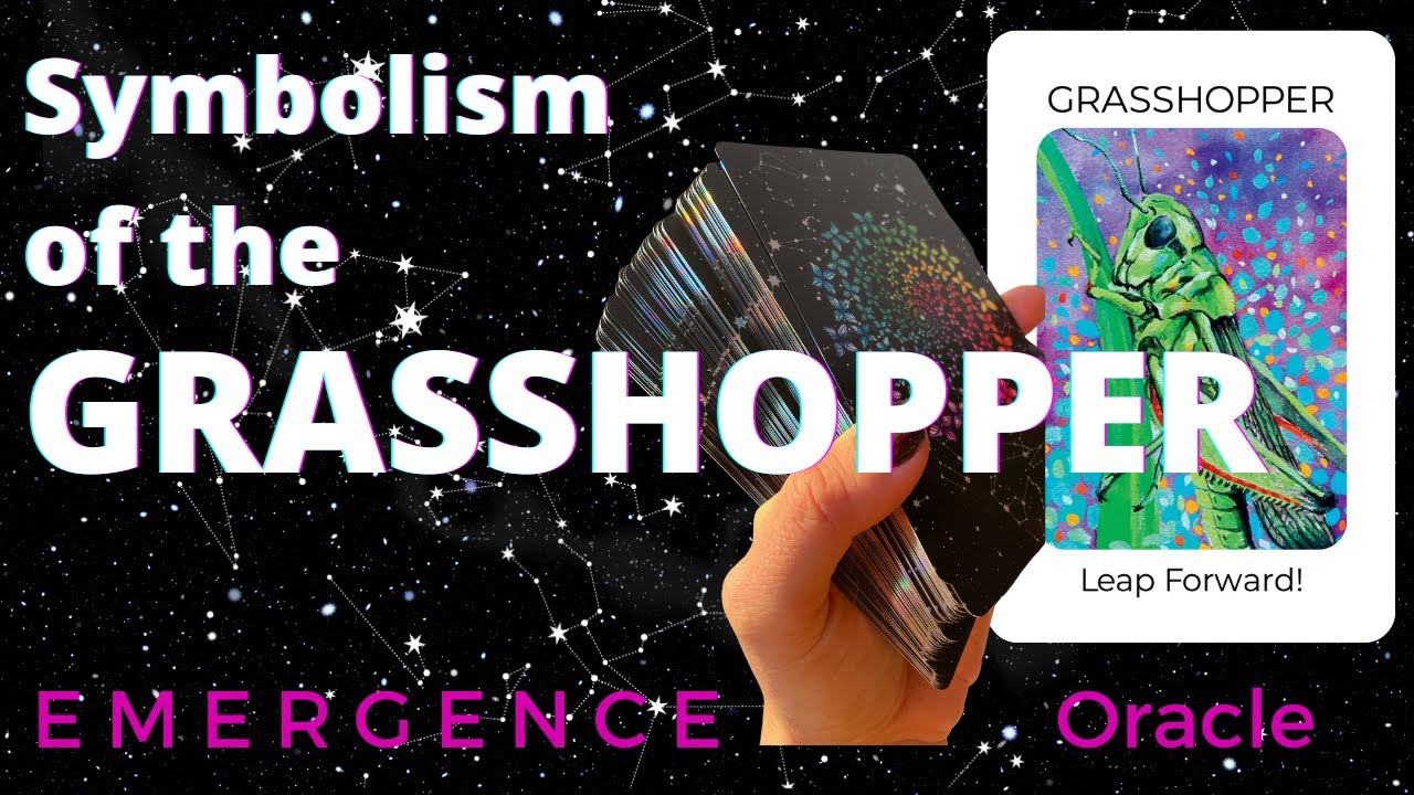 🦗LEAP FORWARD! Grasshopper Message from E M E R G E N C E Oracle 🦗 - YouTube