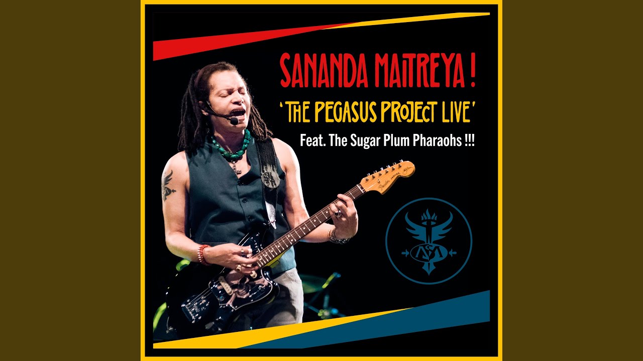 Dolphin (Live) - YouTube